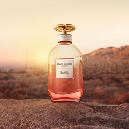 Dreams Sunset 逐夢女士淡香精 - 香水 | 金英化妝藥房